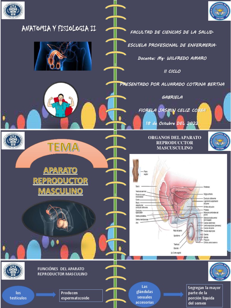 Presentación 1 | PDF