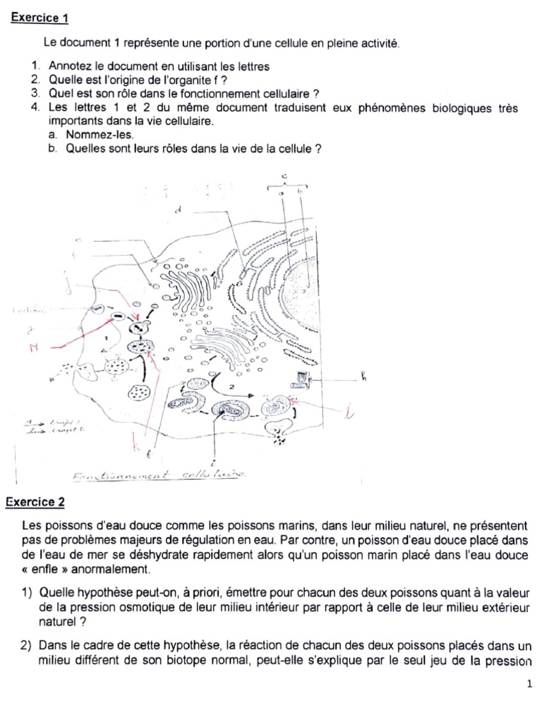 Proposition Des TD SVT Tle | PDF