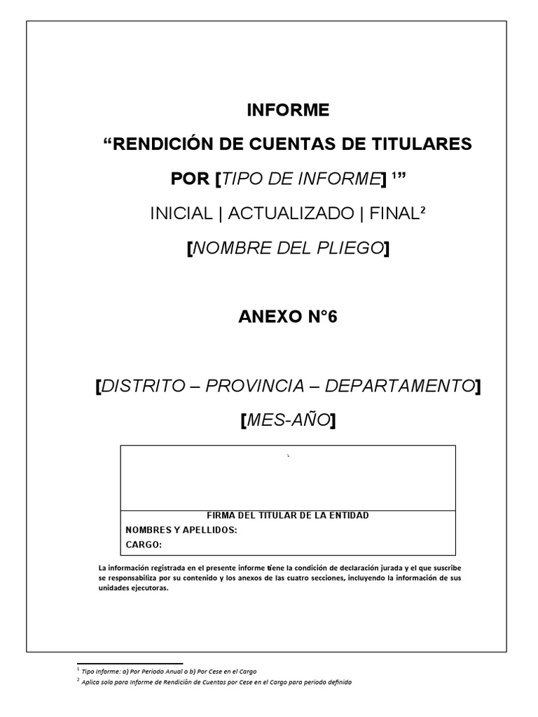 Modelo de Informe de Rendición de Cuentas de Titulares - Entidades - Anexo N°06 | PDF ...