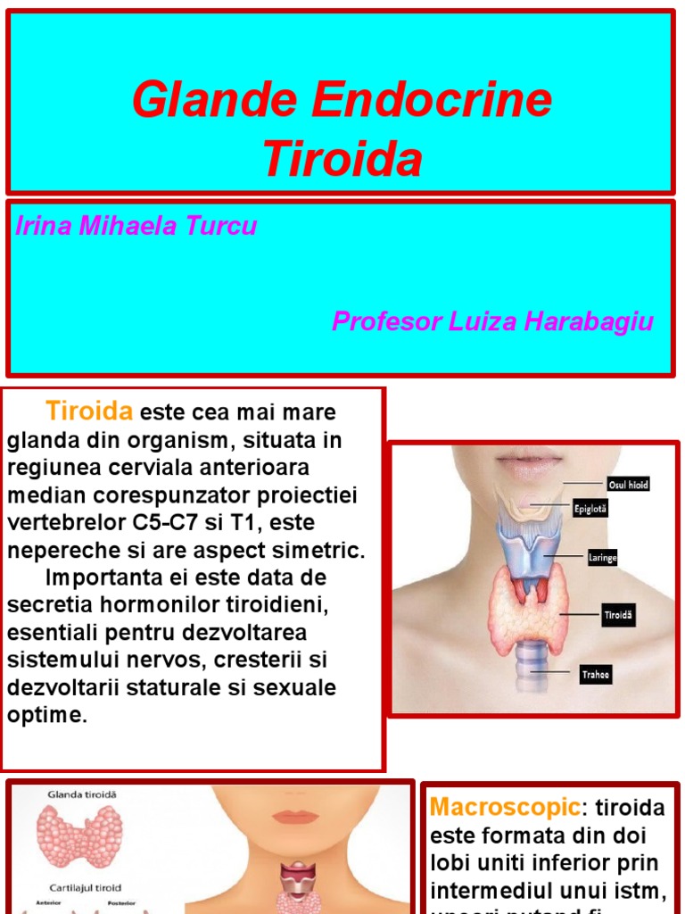 Glande Endocrine Tiroida | PDF