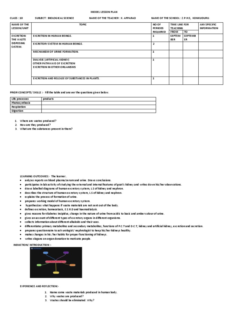 10th B.S 4. Excretion Lesson Plan.-2 | PDF | Excretion | Kidney