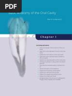 Anatomy of the Oral Cavity | PDF | Tongue | Mouth