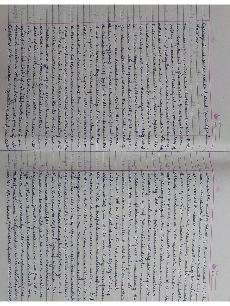 Cytology and Molecular Analysis of Sam | PDF