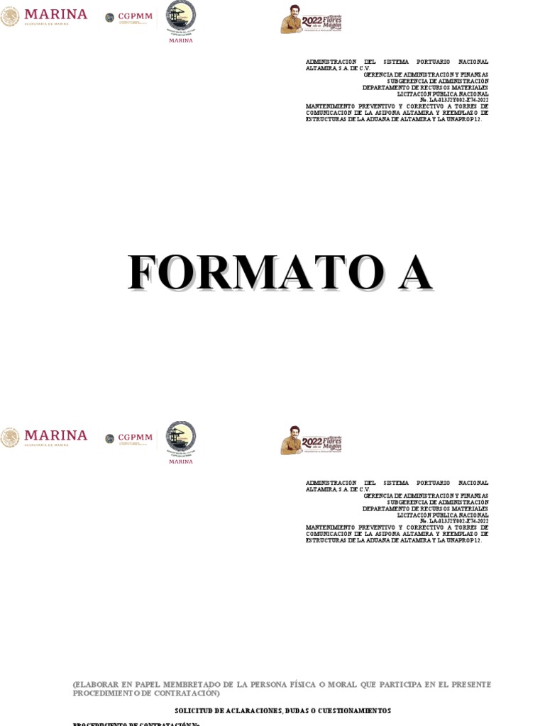 Formato A | PDF