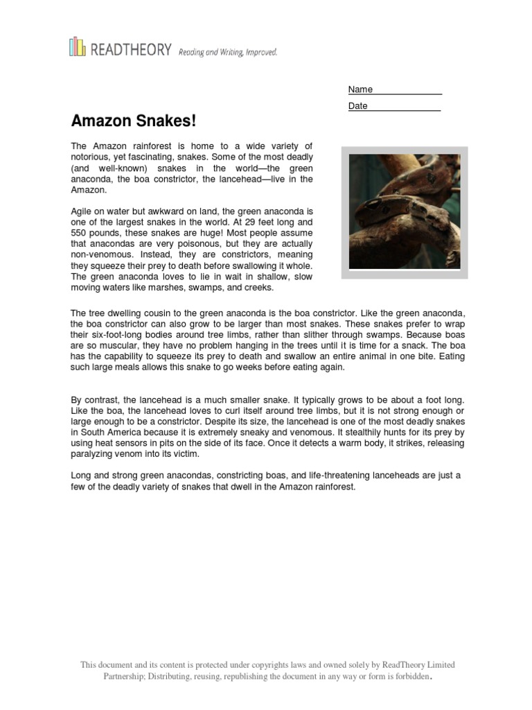 9th Grade Amazon Snakes Text | PDF