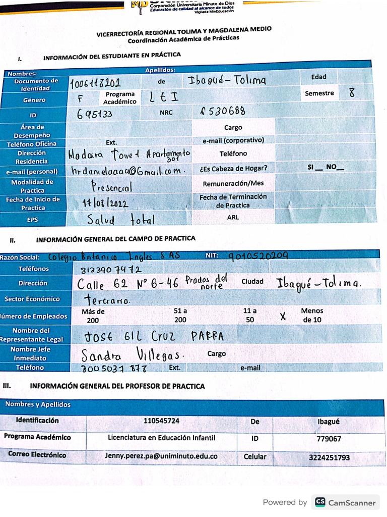Plan Formativo Prácticas | PDF