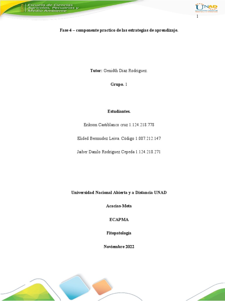 Fase 4 - Componente Práctico | PDF