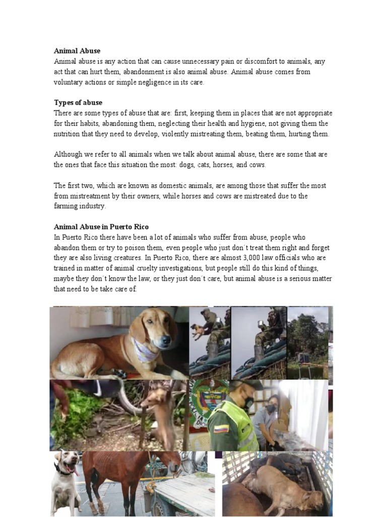 Understanding Animal Abuse Issues | PDF