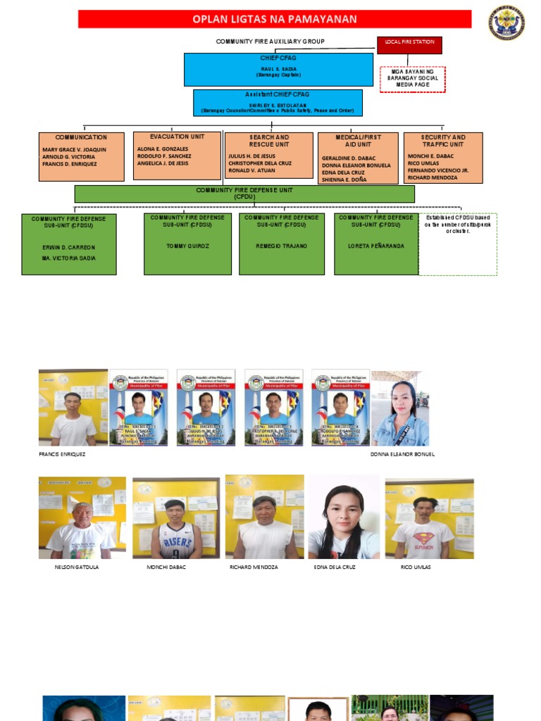 Community Fire Auxiliary Group Graph | PDF
