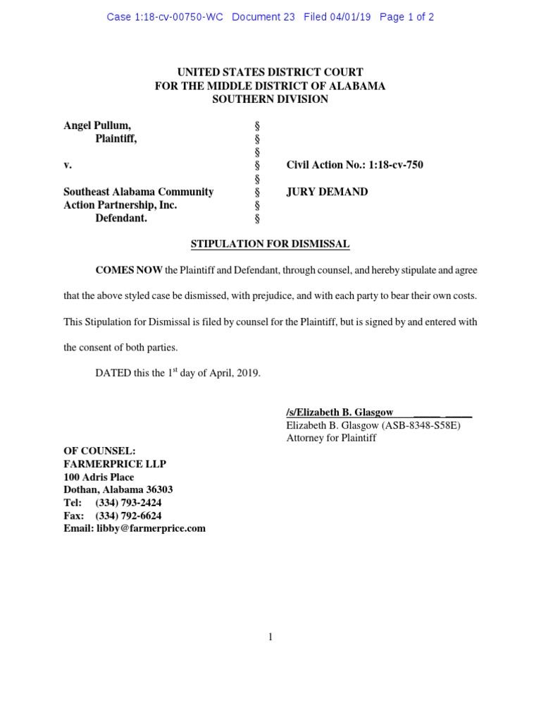 Southeast Alabama Community Action Case | PDF