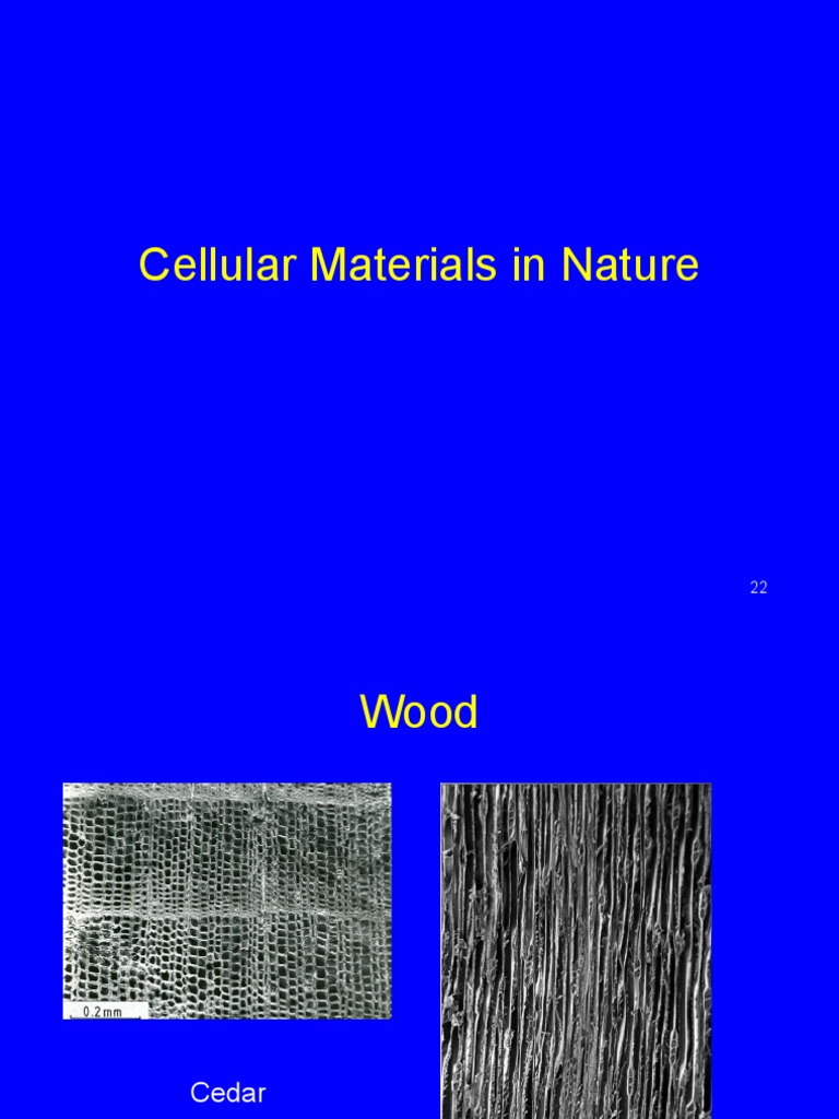 3054x Lecture 1 Intro Part2 Pdf