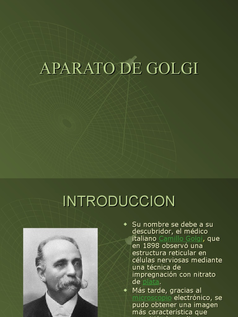 Aparato de Golgi | PDF | Biología Celular | Anatomía Celular