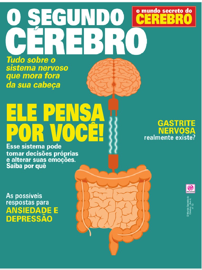 O Segundo Cérebro Pdf