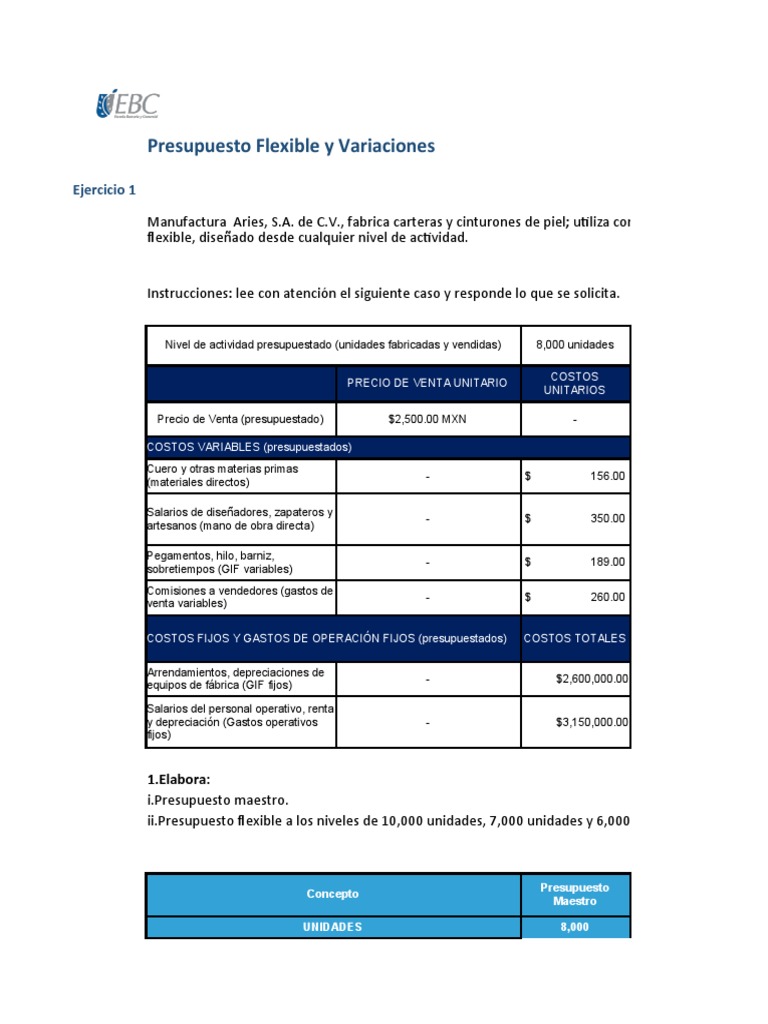 CASO 6 - Presupuesto Flexible | PDF | Presupuesto | Economias