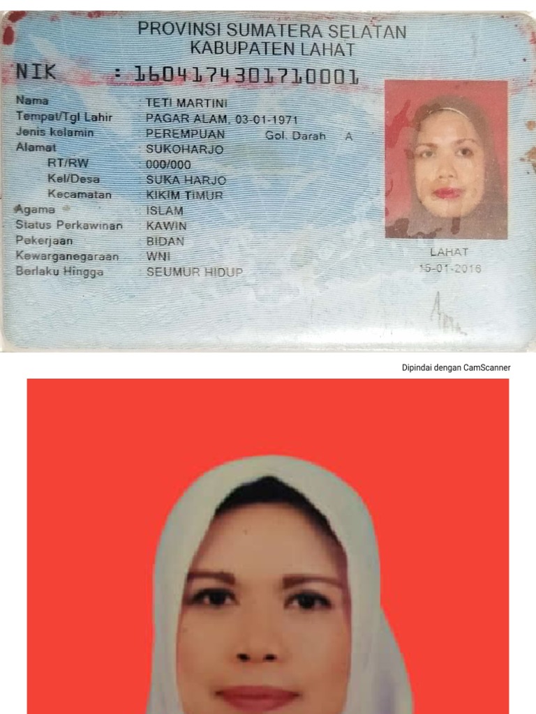 KTKI Teti Martinii | PDF