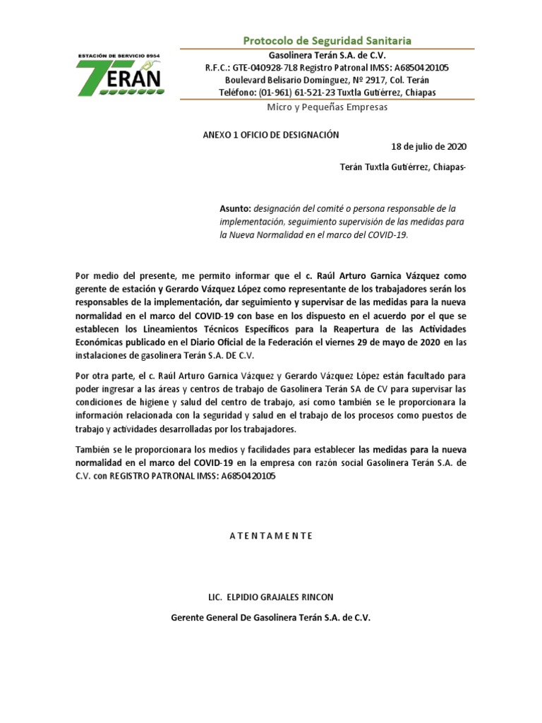 Anexo 1 Oficio de Designación | PDF