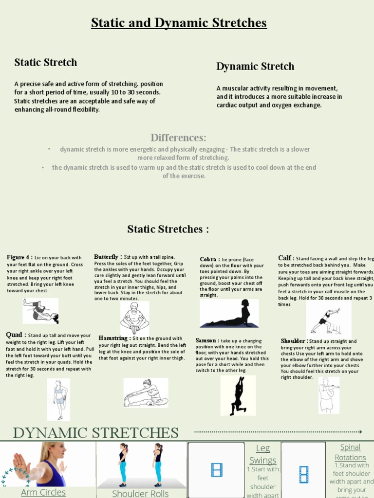 Static and Dynamic Stretches | PDF