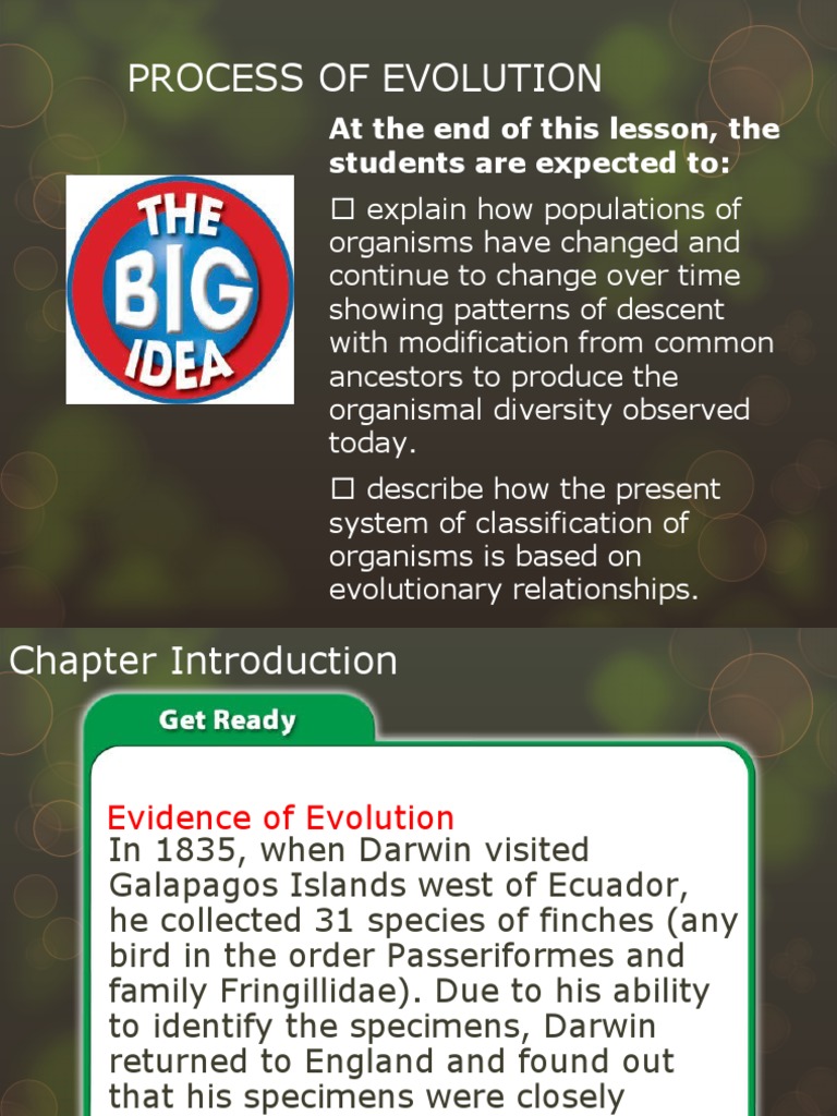 Evolution | PDF | Natural Selection | Selective Breeding