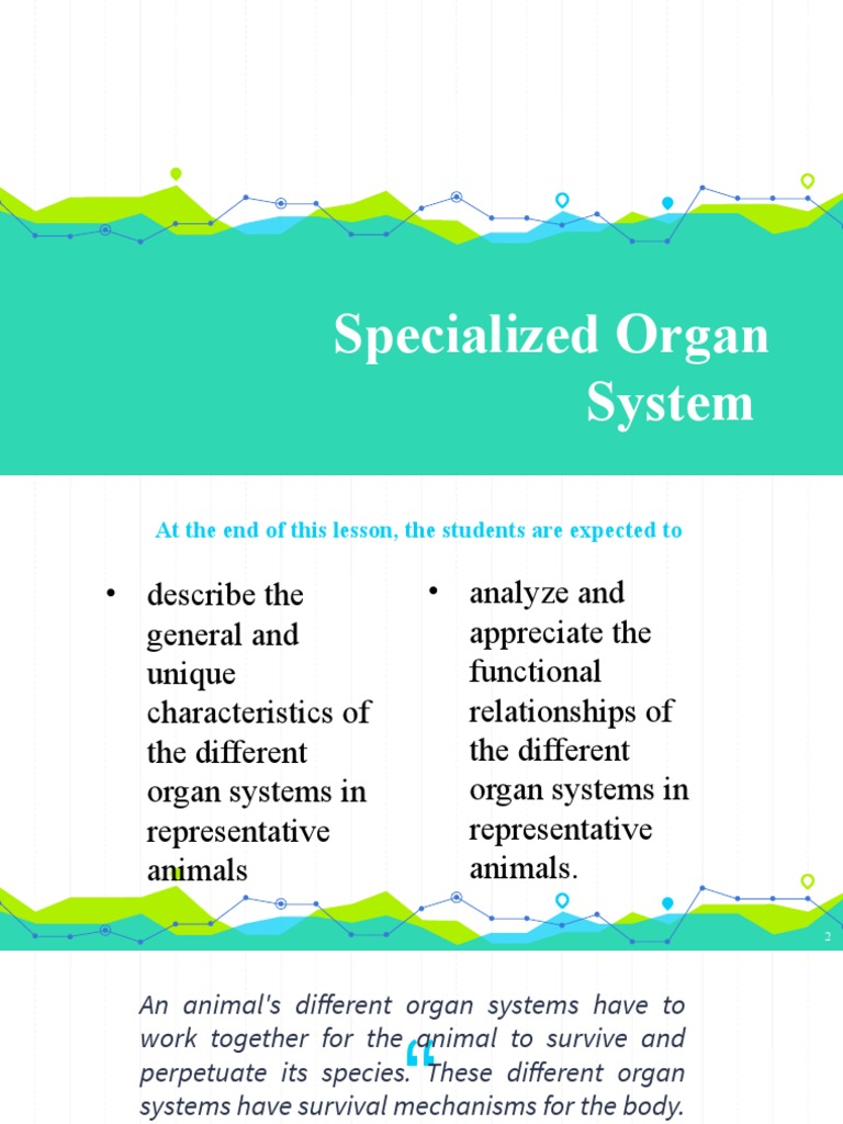 Special Types of Organs | PDF | Gill | Blood