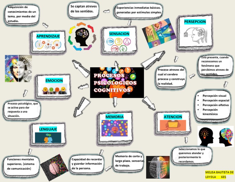 Procesos Cognitivos Mapa Mental | PDF | Percepción | Memoria