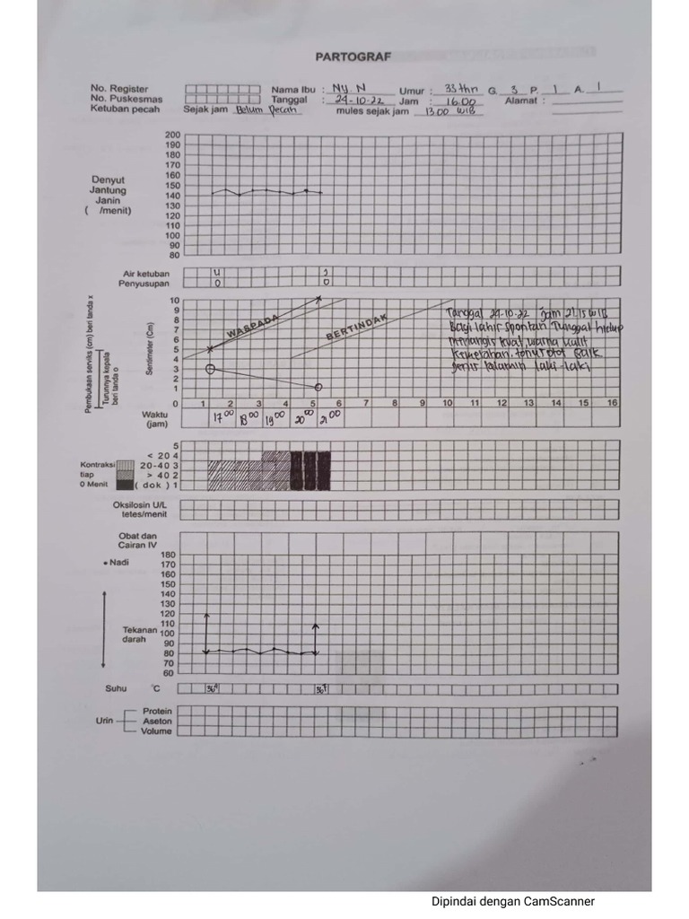 Tugas Partograf | PDF