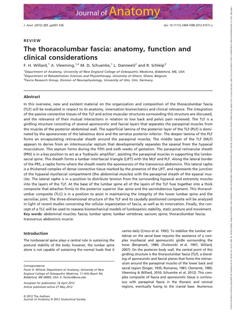 Journal of Anatomy - 2012 - Willard - The Thoracolumbar Fascia Anatomy ...