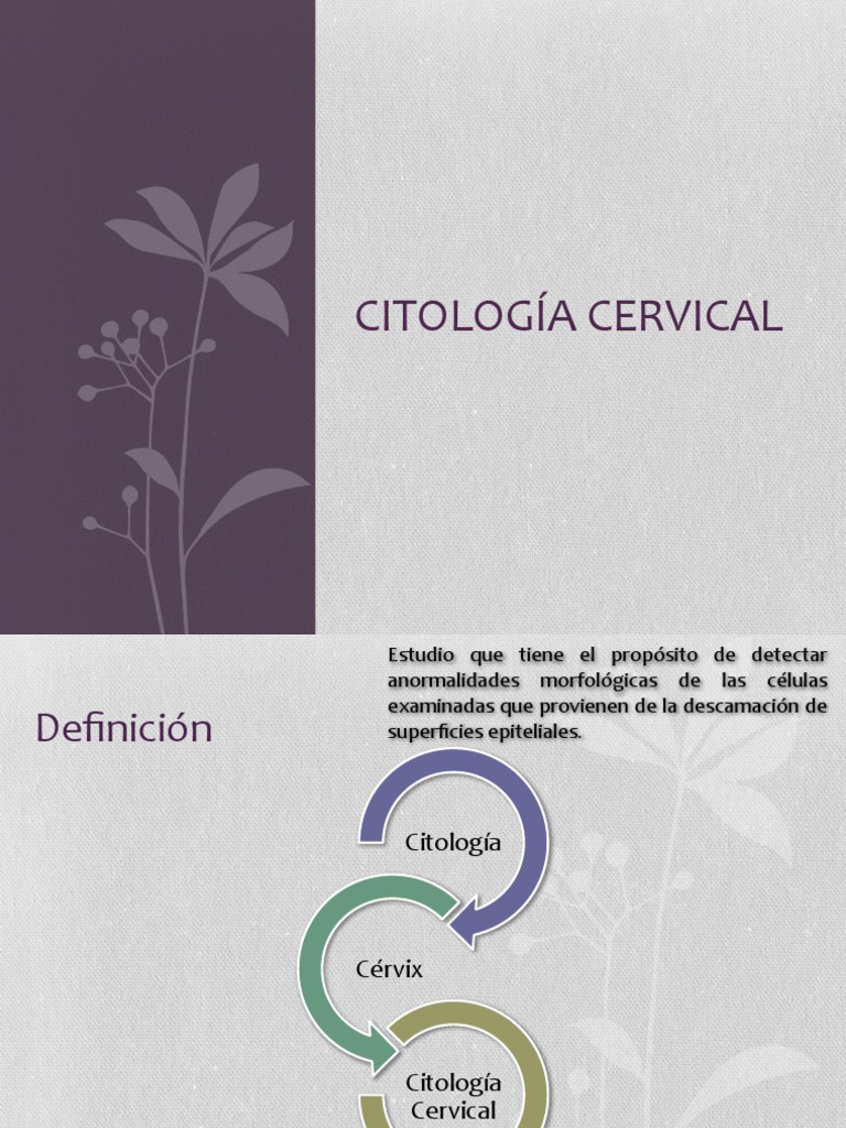Citología Cervical | PDF | Enfermedades y trastornos | Medicina CLINICA