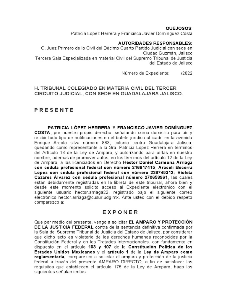 Amparo Directo | PDF