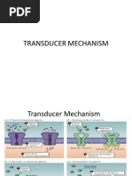 Cape Supergroup Stratigraphy Overview | PDF | Geology | Earth Sciences