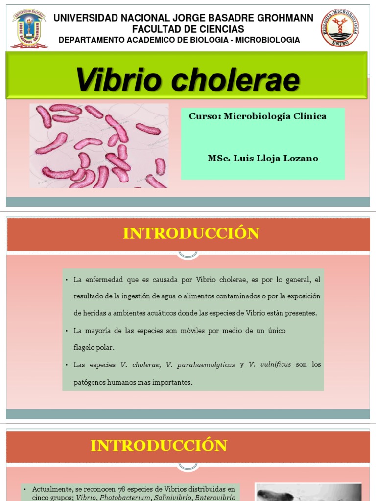 Tema Vibrio Cholerae | PDF | Diarrea | Especialidades Medicas