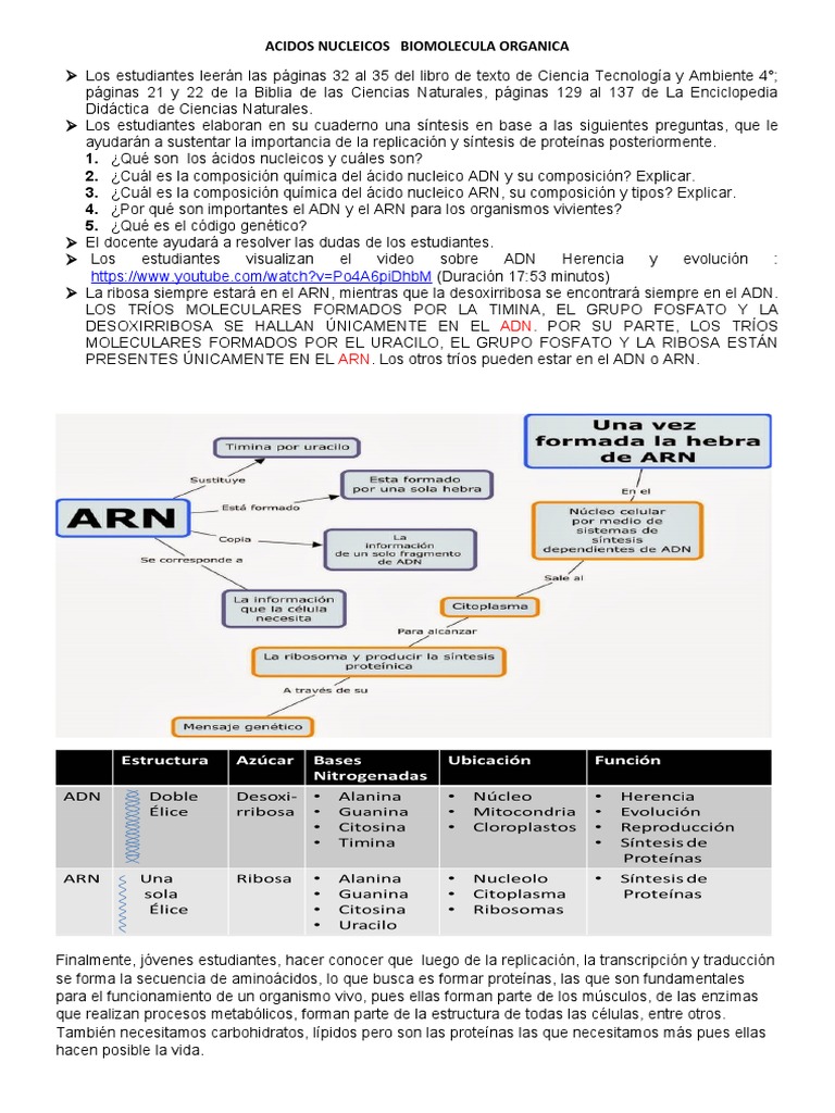 Acidos Nucleicos Biomolecula Organica | PDF | Gene | Adn