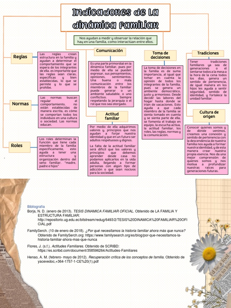 Indicadores Familiares | PDF | Familia | Comportamiento