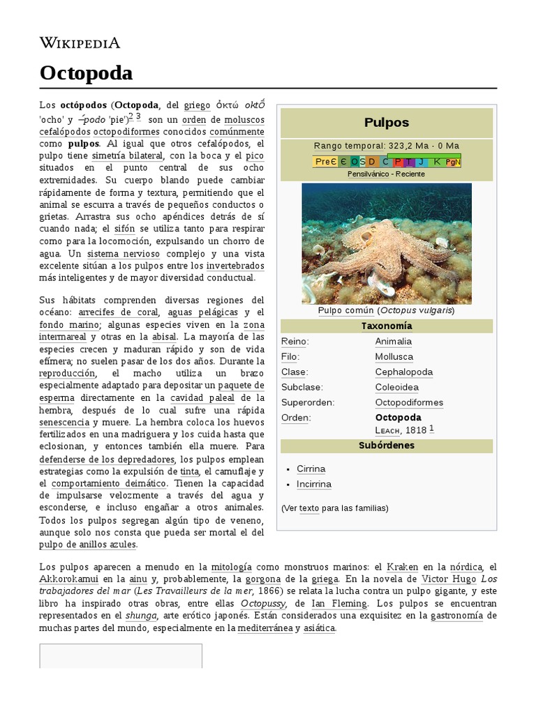 Octopoda | PDF
