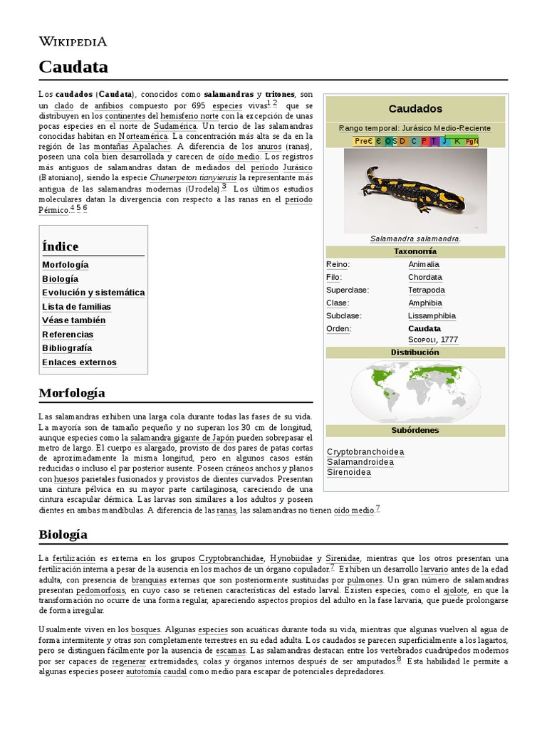 Caudata | PDF