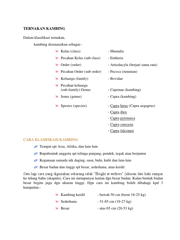 Ternakan Kambing | PDF