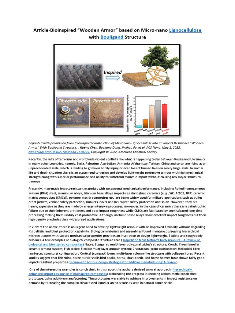 Article-Bioinspired "Wooden Armor" Based On Micro-Nano Lignocellulose ...