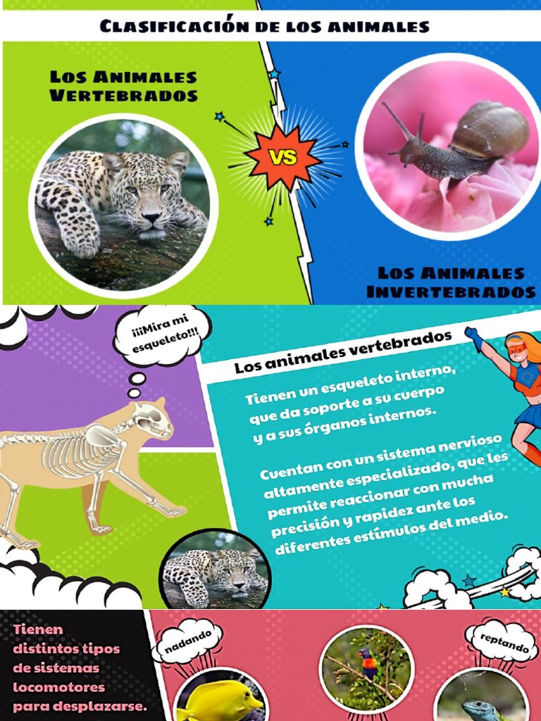 Diferencias entre vertebrados e invertebrados | PDF