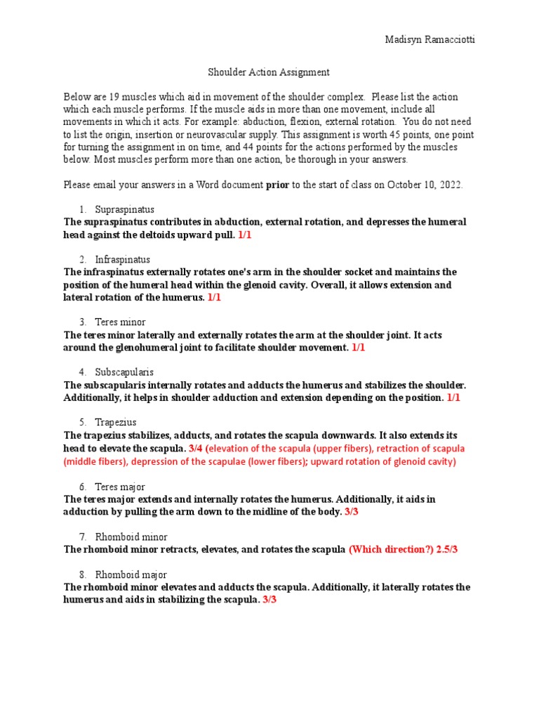 shoulder action assignment | PDF