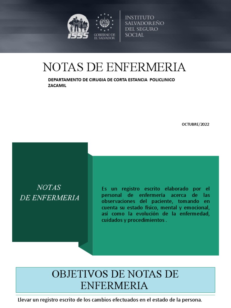 Notas de Enfermeria | PDF