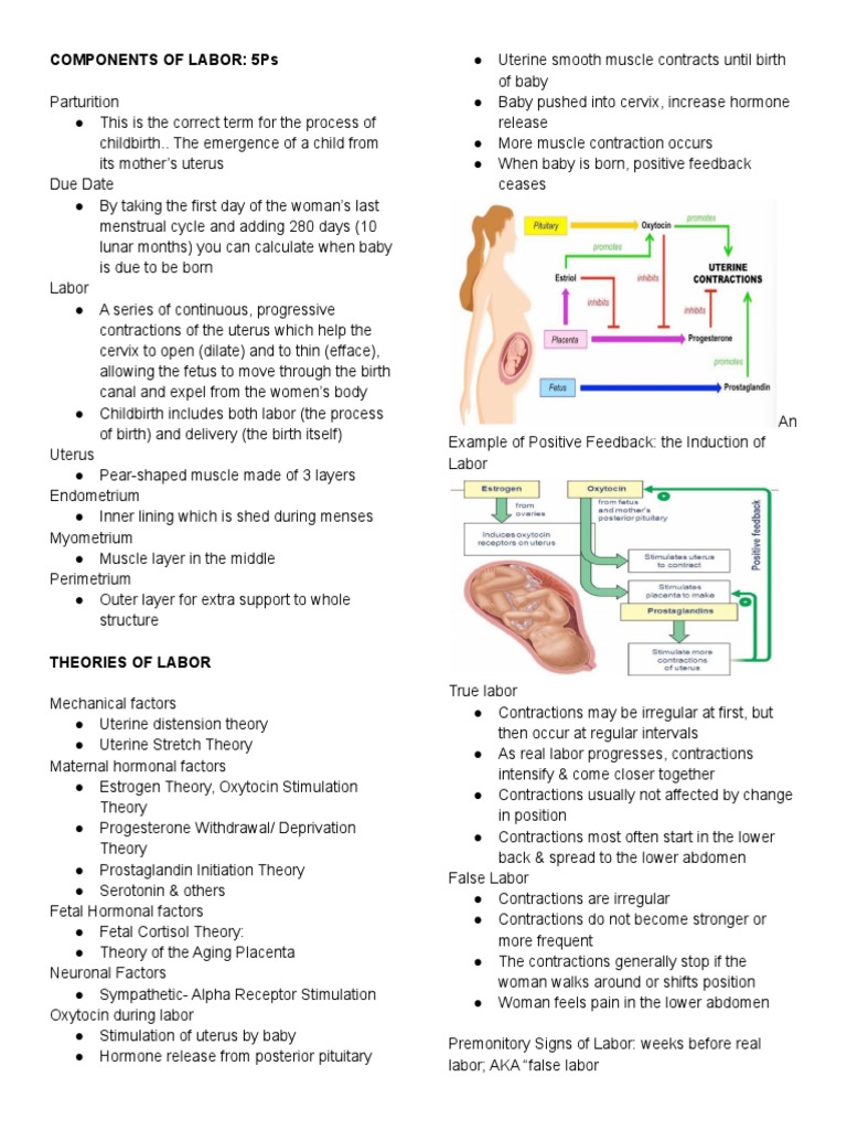 COMPONENTS OF LABOR - 5Ps | PDF | Childbirth | Pelvis