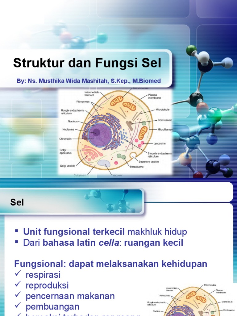 Struktur Dan Fungsi Sel | PDF