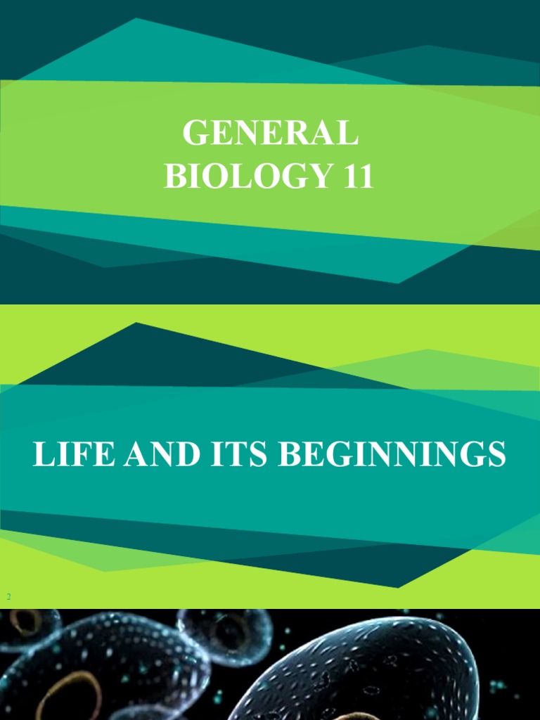 Life and Its Beginnings | PDF | Life | Abiogenesis