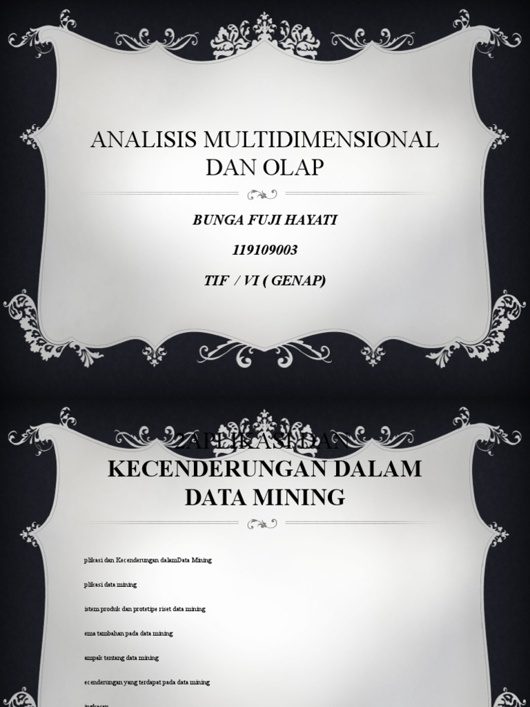Data Mining & OLAP Insights | PDF