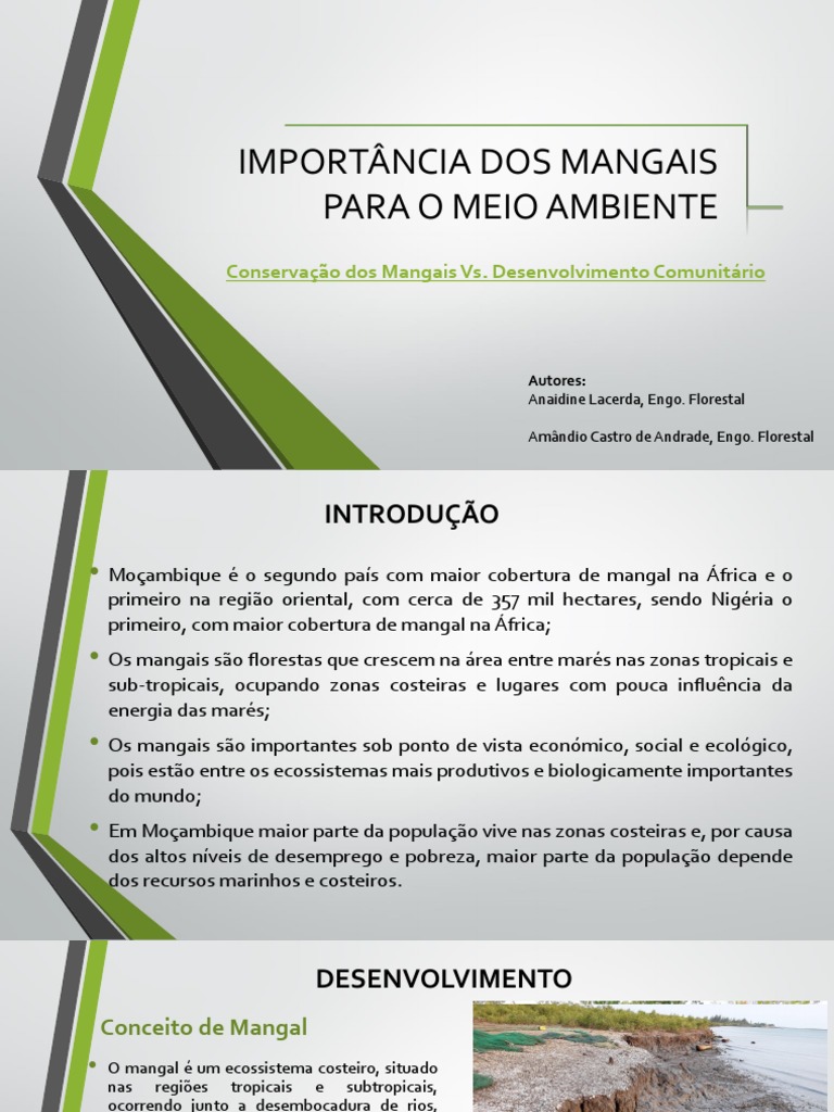 Importância Dos Mangais para o Meio Ambiente | PDF | Mangue | Ambiente ...