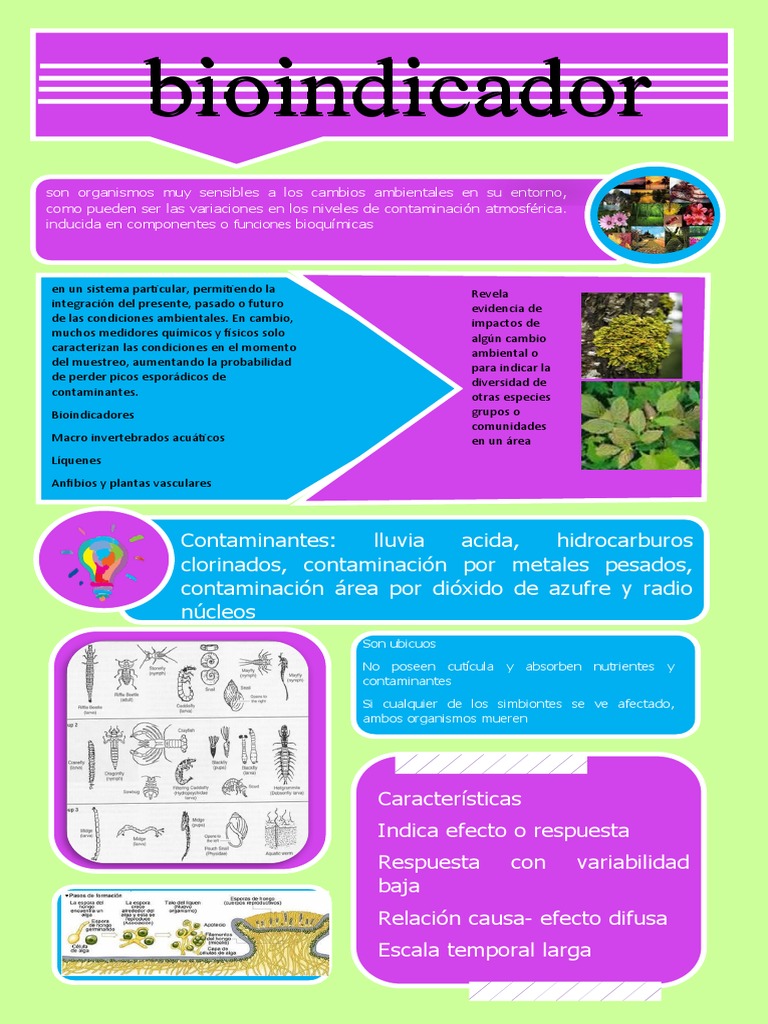 Bioindicadores Infografia | PDF