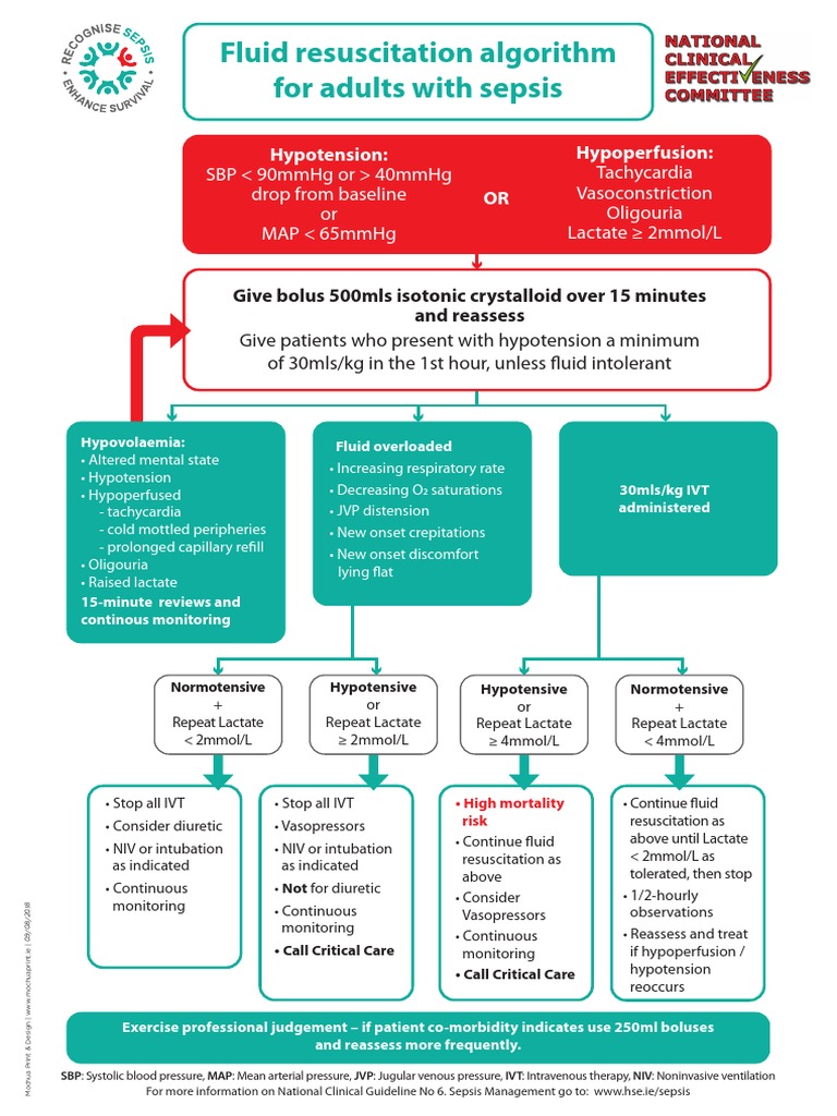 Fluid Resuscitation Algorithm For Adults With Sepsis | PDF | Blood ...