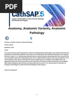 QuantaFlo™ 7 Facts About Peripheral Arterial Disease PAD | PDF ...