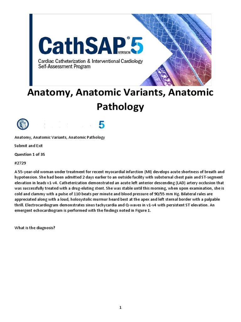 Cath SAP 5 | PDF | Coronary Circulation | Heart