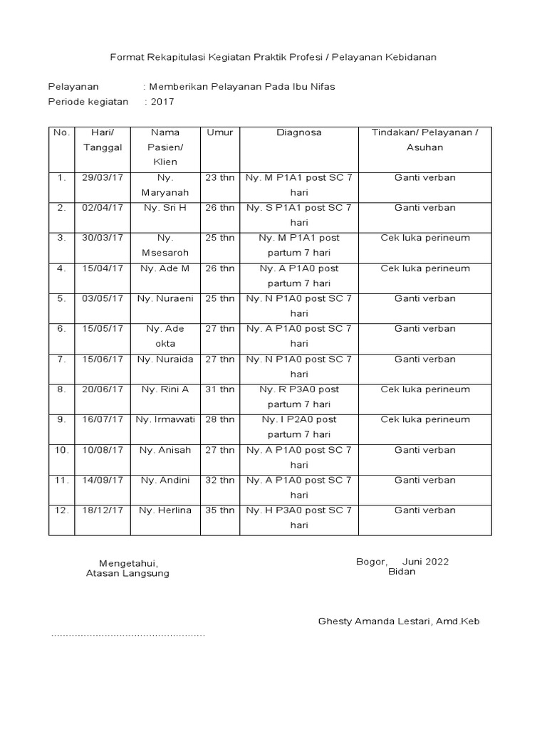 Format Rekapitulasi Kegiatan Praktik Profesi Pelayanan PNC | PDF