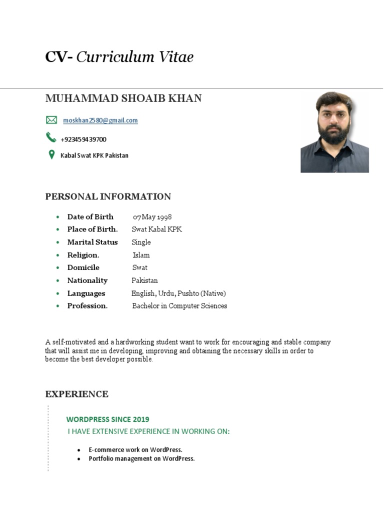 CV Curriculum Vitae Muhammad Shoaib Khan | PDF